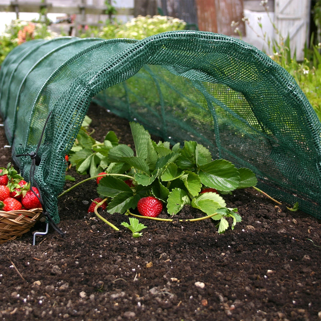 Protecting Your Plants from Wind and Pests | Garden Your Way - Garden ...