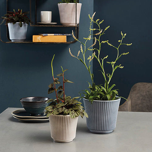 6.3" Blue-Gray Ceramic Delphi Pot - Indoor, Waterproof Design - Garden ...