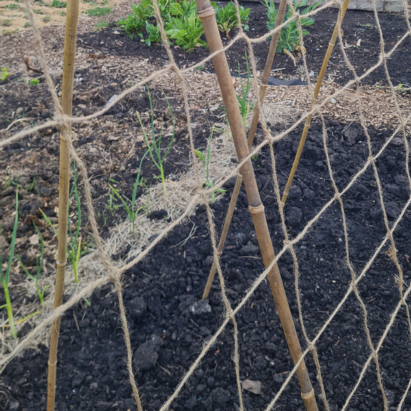 Jute Pea & Bean Netting – Natural Plant Support for Climbing Vegetables ...