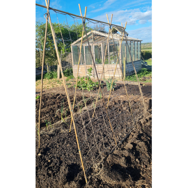Jute Pea & Bean Netting – Natural Plant Support for Climbing Vegetables ...