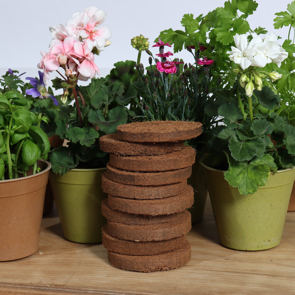 Planting and Growing Garden Solutions | Garden Your Way Tagged "Coir ...