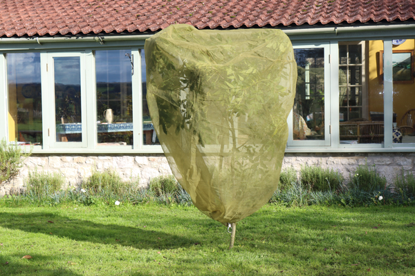 Protecting Your Plants from Wind and Pests | Garden Your Way Tagged ...