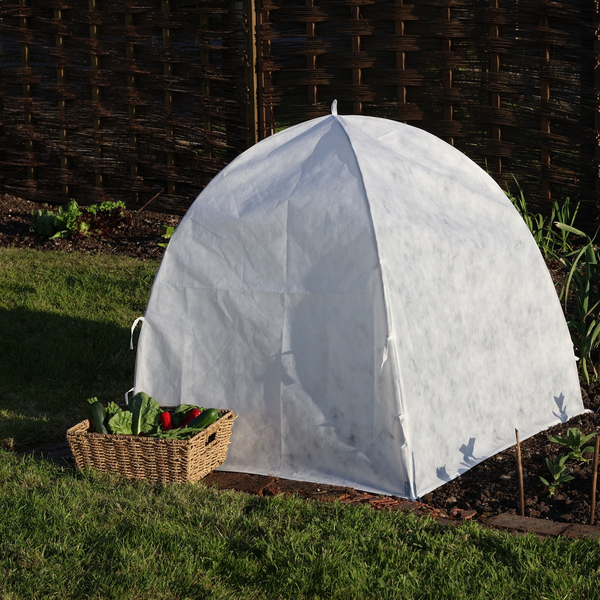 Protecting Your Plants from Wind and Pests | Garden Your Way Tagged ...