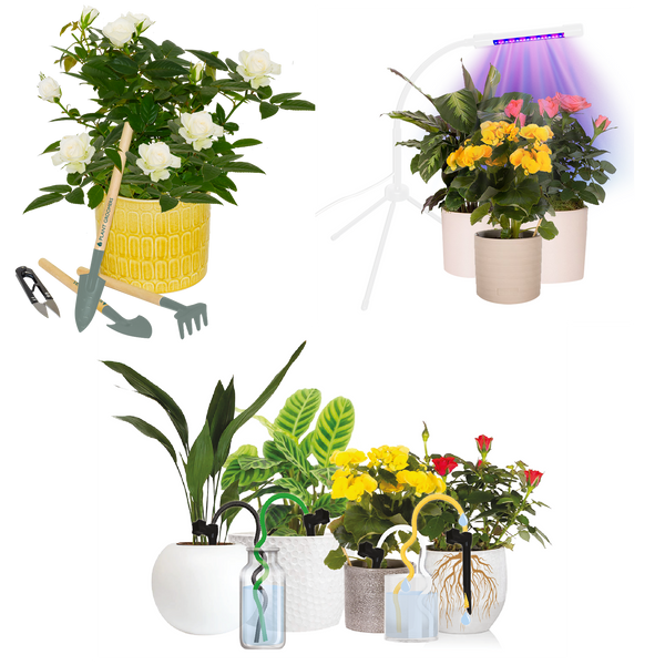 Plant Grow & Groom 3 Pc Kit | Gardening Solutions – Garden Your Way ...