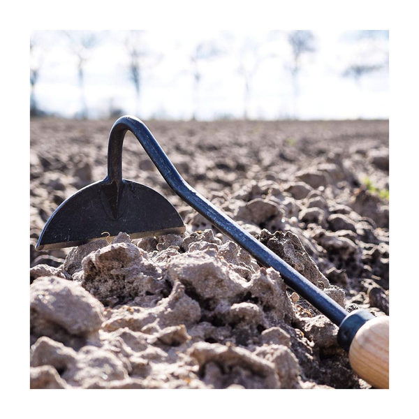 DeWit Onion Hoe Head 1 - Perfect for Weeding & Gardening - Garden Your Way