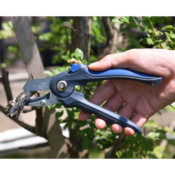 Stainless Steel Anvil Pruner with TPR Handle 8"L x 3"W | Garden Tools ...