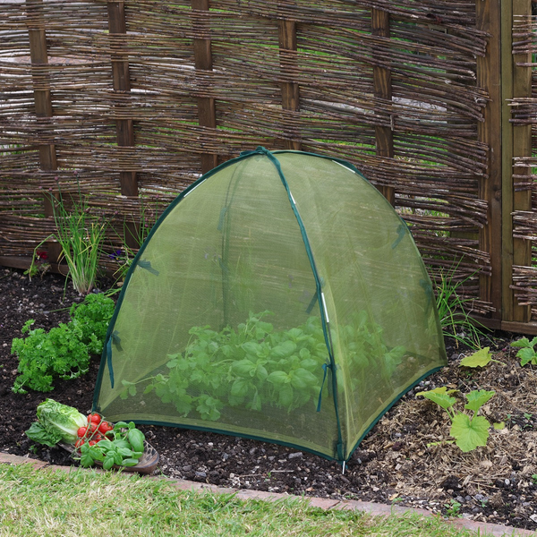 22" Standard Domes Tagged "plant protection" - Garden Your Way