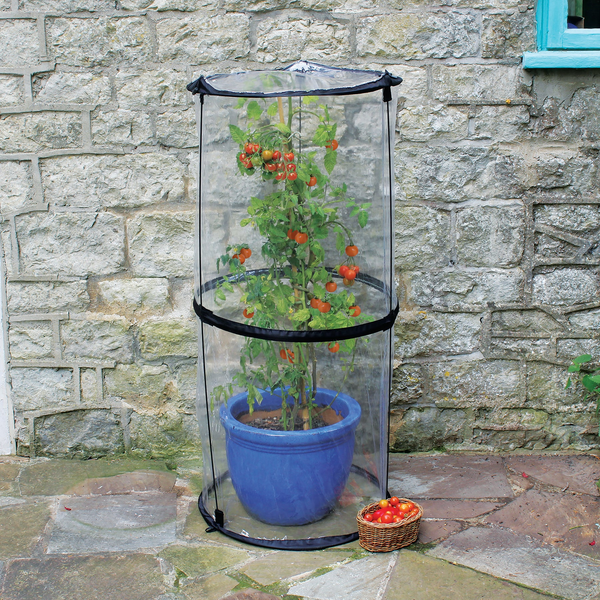 Protecting Your Plants from Wind and Pests | Garden Your Way Tagged ...