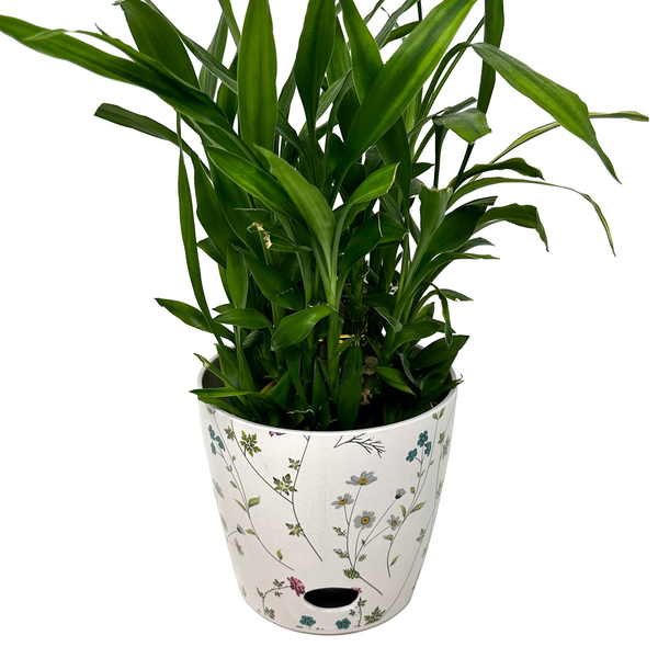 7" Wildflower Round Bamboo Self-Watering Plant Pot | Plant Containers ...
